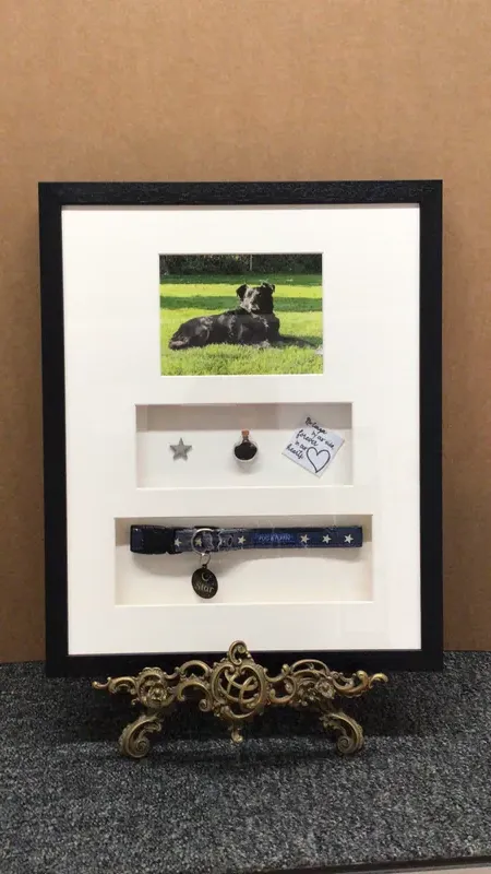 unique framecraft axminster